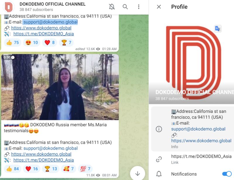 Dokodemo.global | 2 informes | 1 comentario